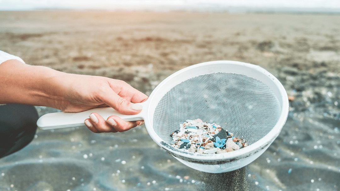 5 Ways To Reduce Your Microplastic Footprint At Home - CRITTERFACTS