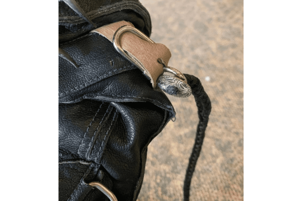 How education and falconry birds are attached to their handlers ...